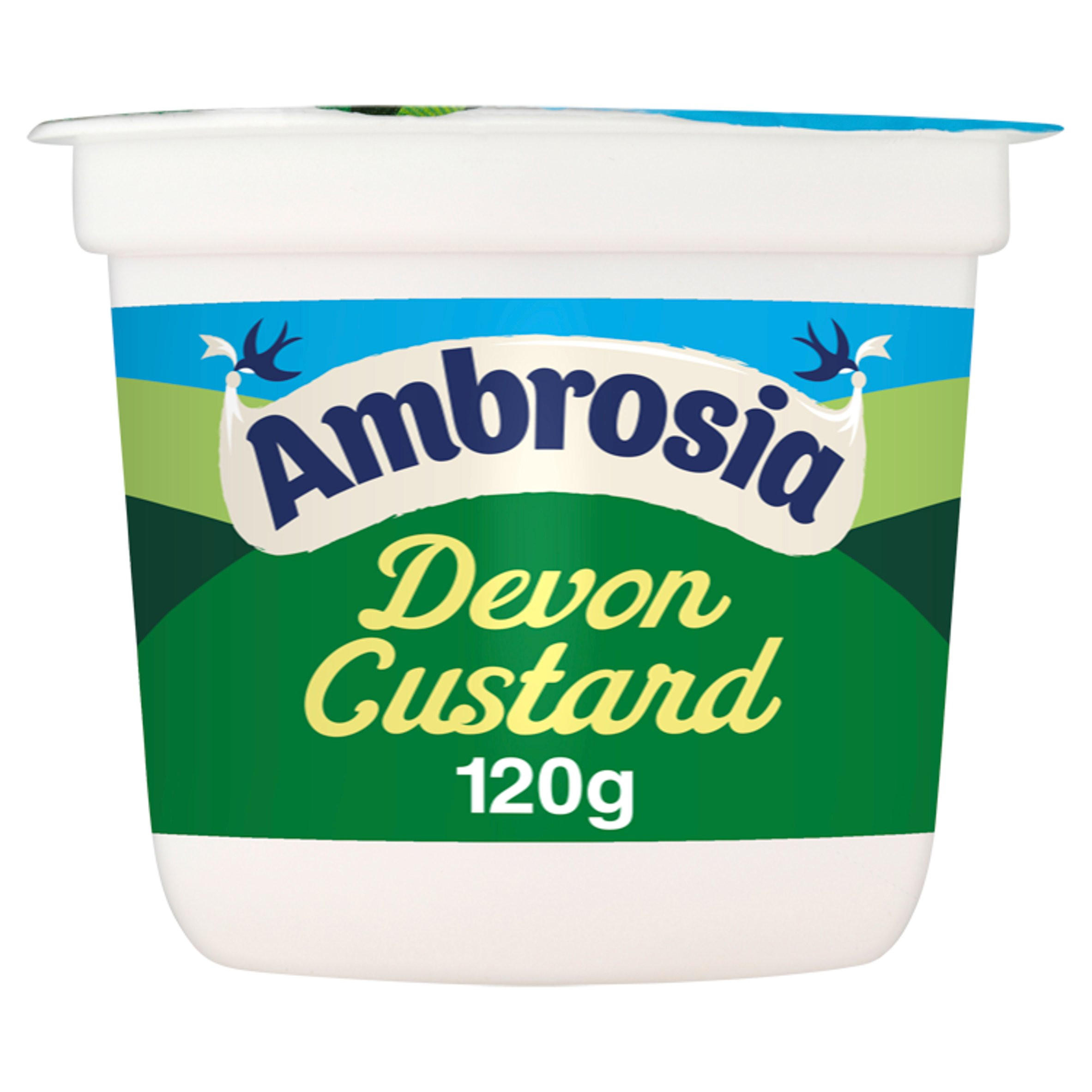Ambrosia Ready To Eat Devon Custard Pot 120g | Tinned Fruit, Desserts ...