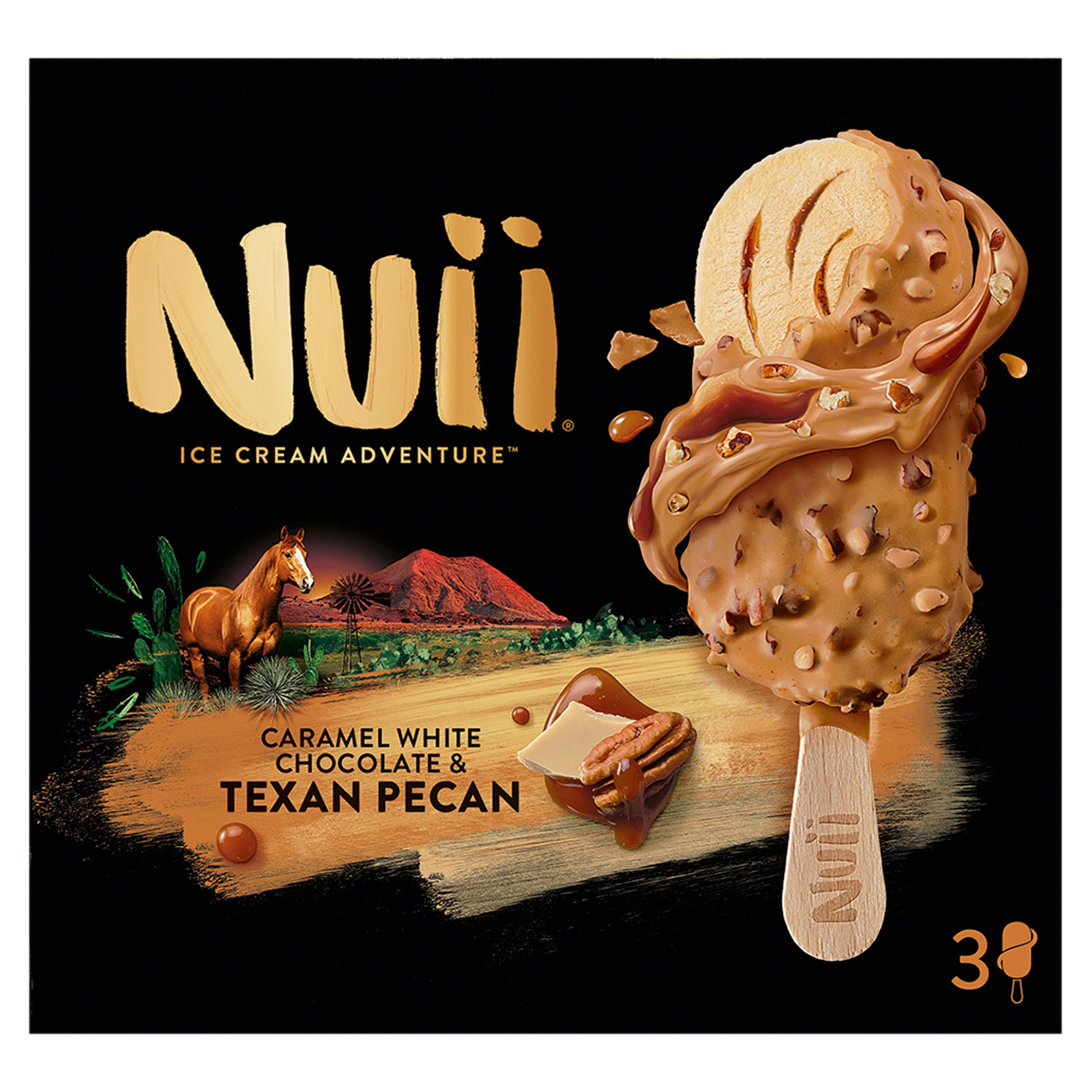 Nuii Ice Cream Adventure Caramel White Chocolate & Texan Pecan 270ml ...