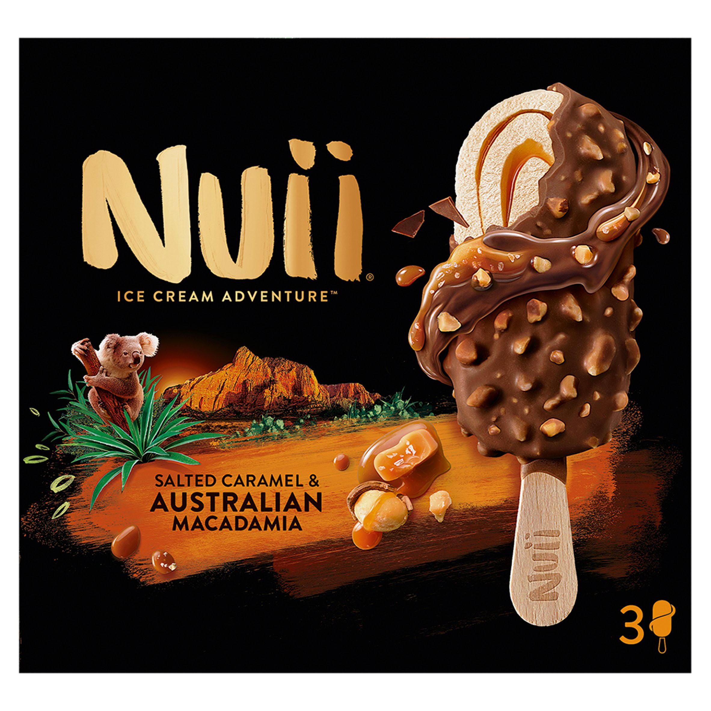 Nuii Ice Cream Adventure Salted Caramel & Australian Macadamia 270ml ...