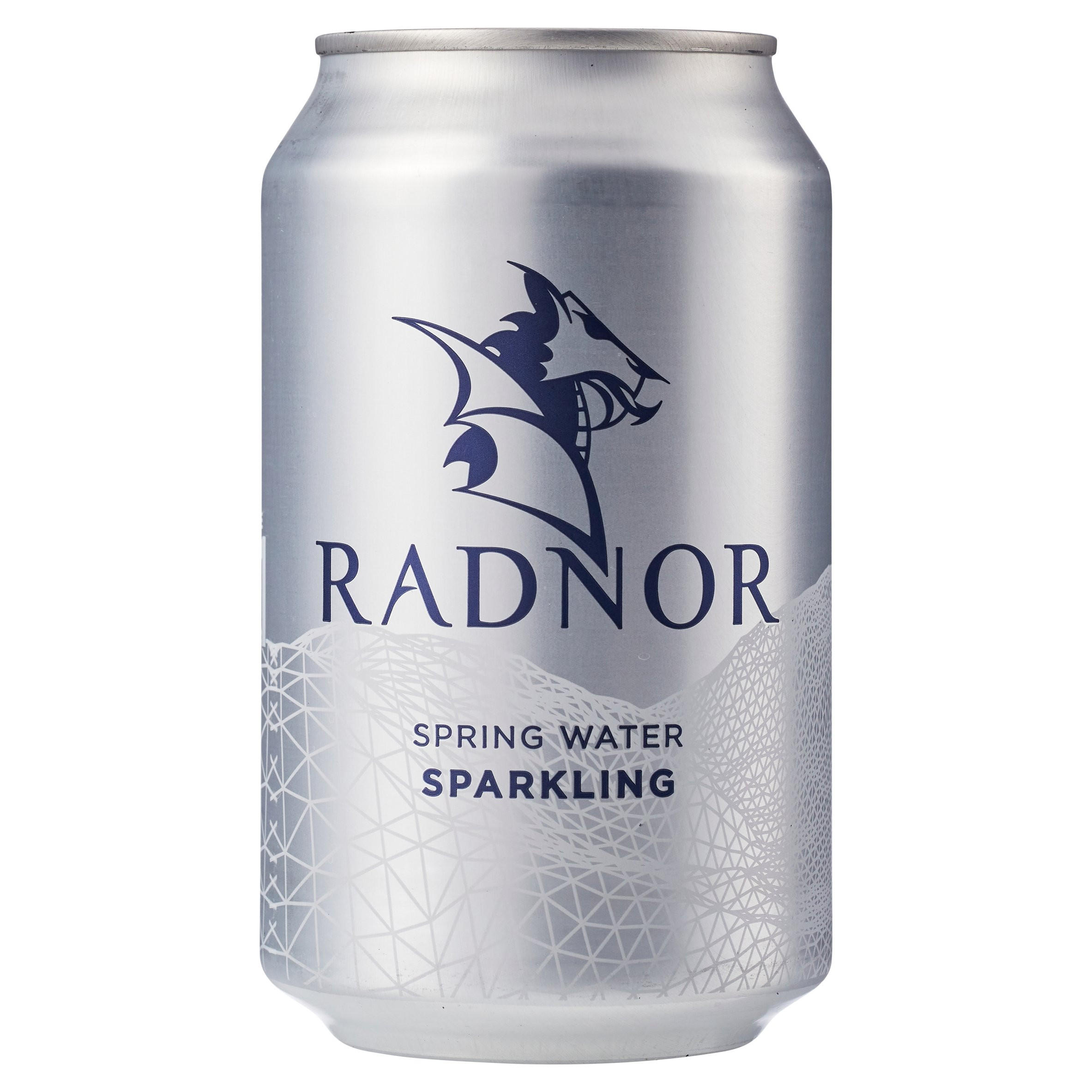 Radnor Hills Sparkling Spring Water Can 24x330ml | Still & Flavoured ...