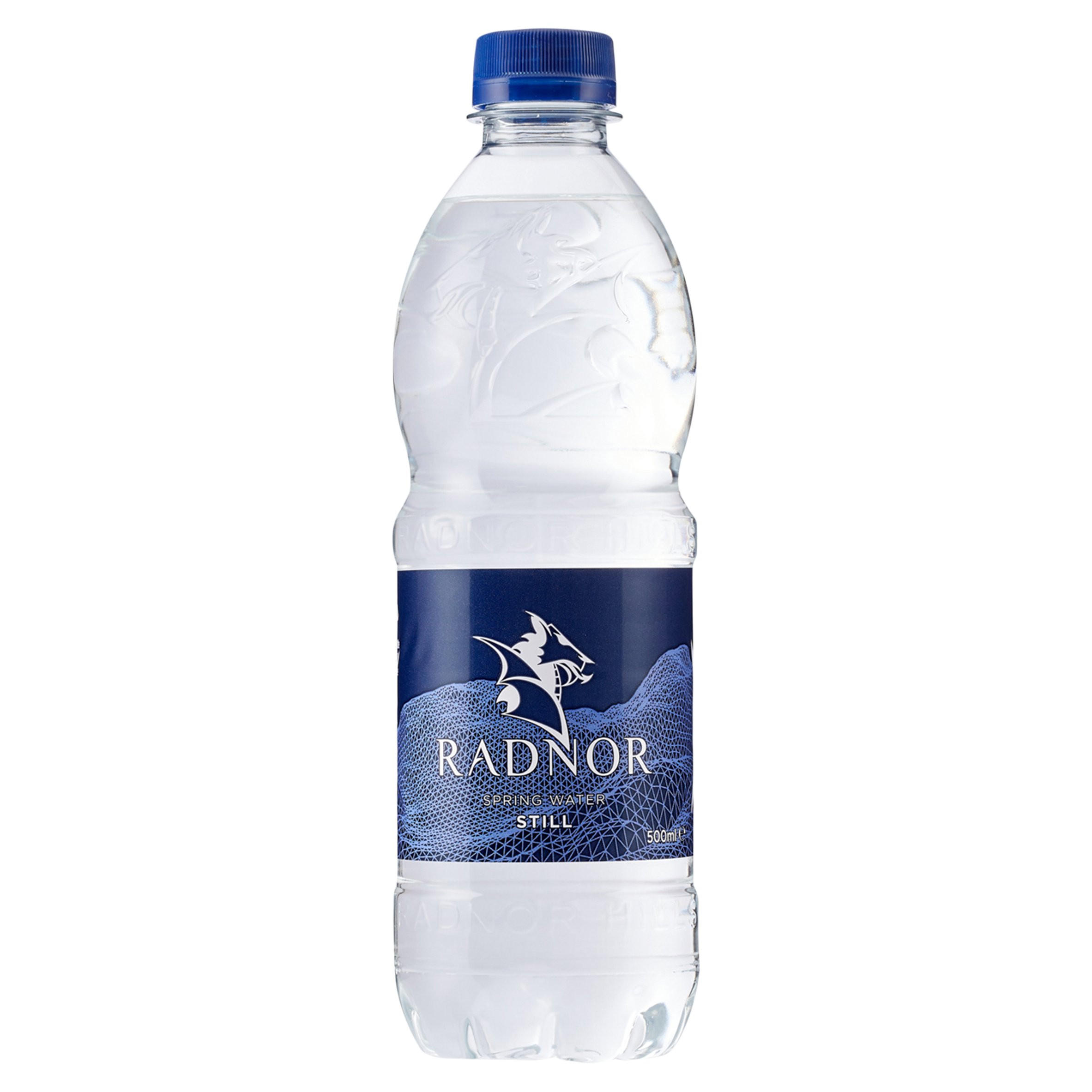 Radnor Hills Still Spring Water Bottle 24x500ml | Still & Flavoured ...