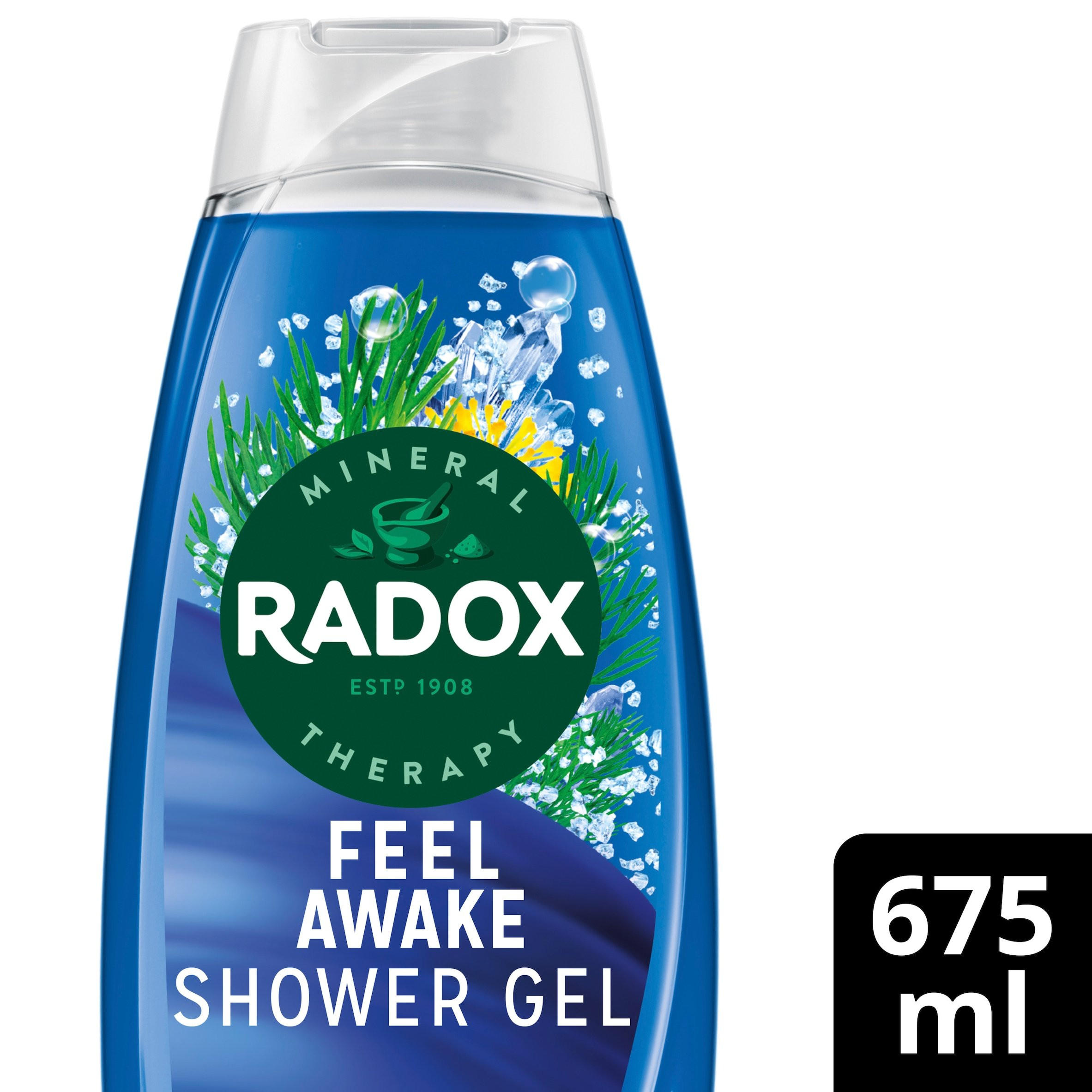 Radox Mineral Therapy 2-in-1 body wash & shampoo Feel Awake 675 ml ...