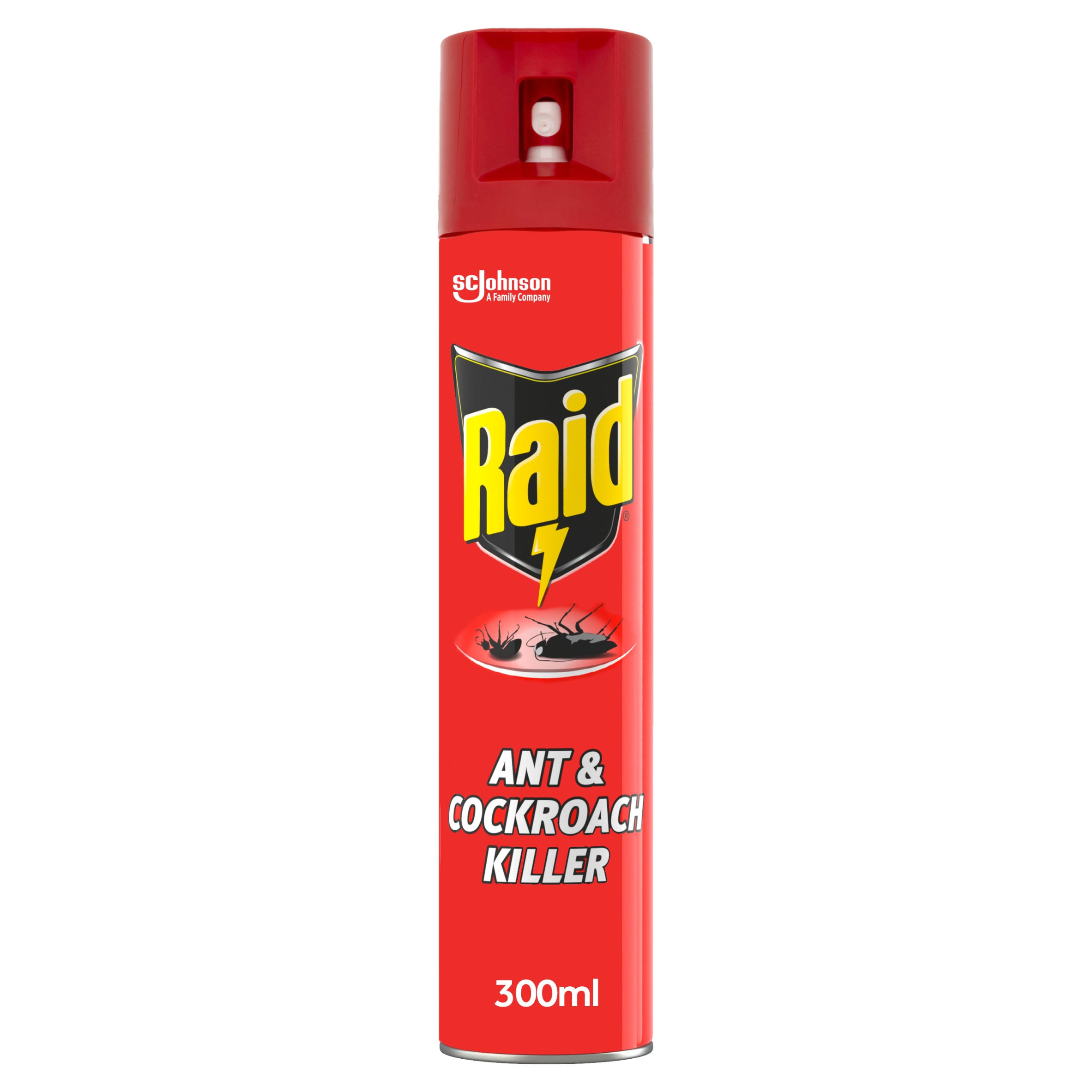 Raid Ant & Cockroach Insect Killer 300ml | Garden and Outdoor Living ...